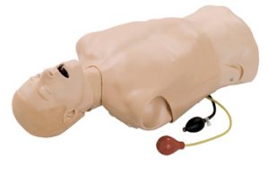 Deluxe Difficult Airway Management Trainer - Pro Medic